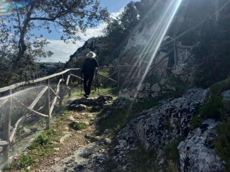 From Syracuse: Cavagrande Natural Reserve Guided Trek - Who Should Consider This Tour?