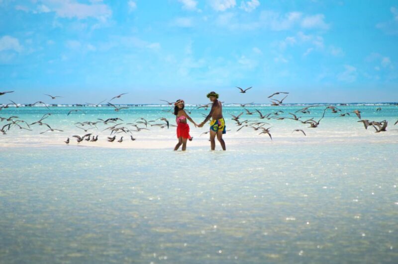 From Tahiti: Tetiaroa Island Tour by Sailing Catamaran - The boat and crossing: setting the scene