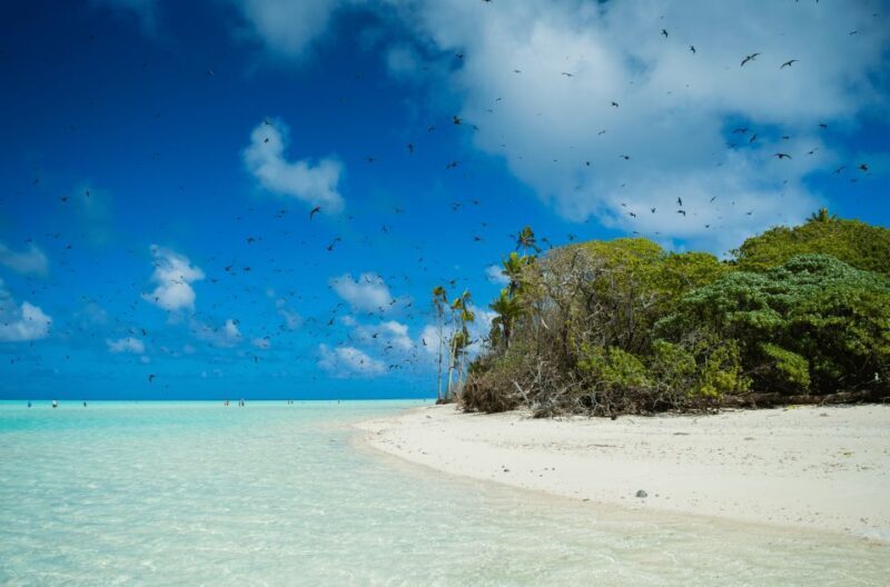 From Tahiti: Tetiaroa Island Tour by Sailing Catamaran - Return journey: winding down the day