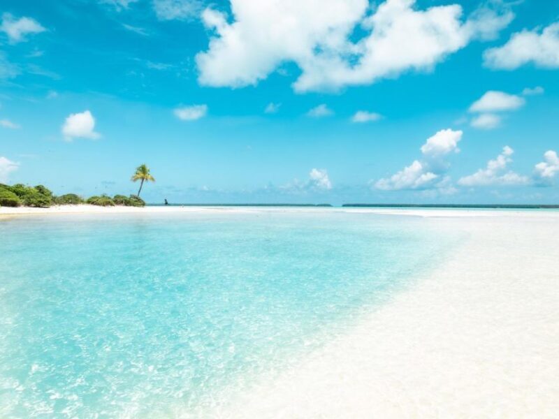 From Tahiti: Tetiaroa Island Tour by Sailing Catamaran - Practical tips for booking and planning