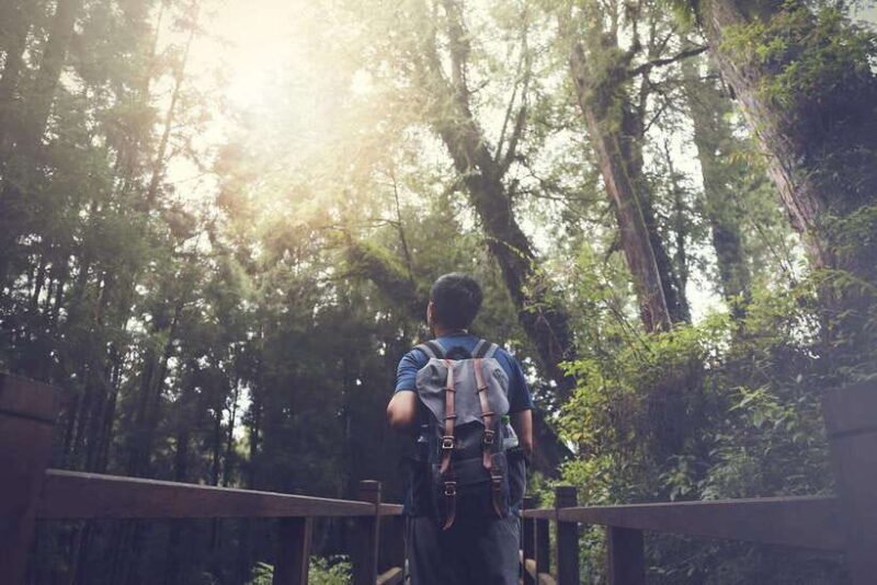 From Taipei City: 3-Day Sun Moon Lake & Alishan Private Tour - Exploring the Itinerary in Detail