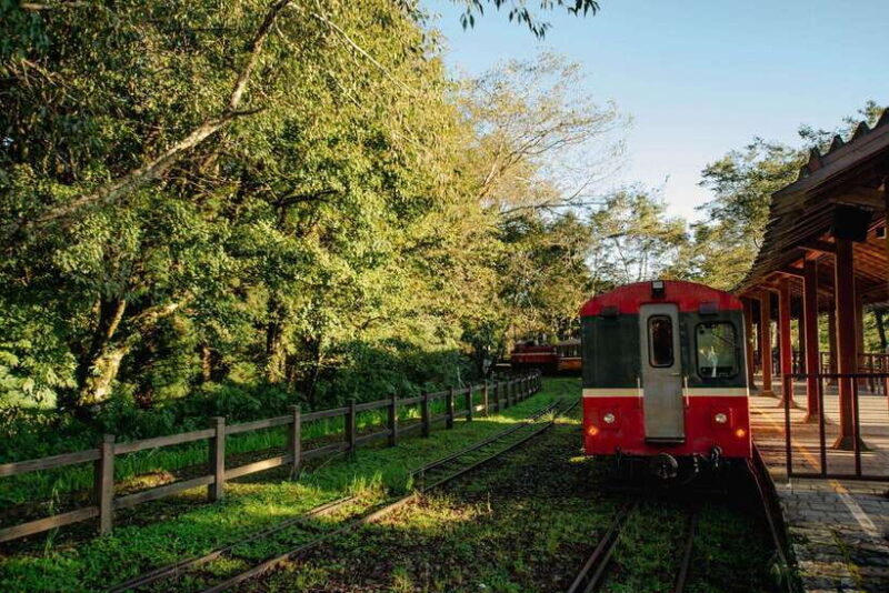 From Taipei City: 3-Day Sun Moon Lake & Alishan Private Tour - Who Should Consider This Tour?