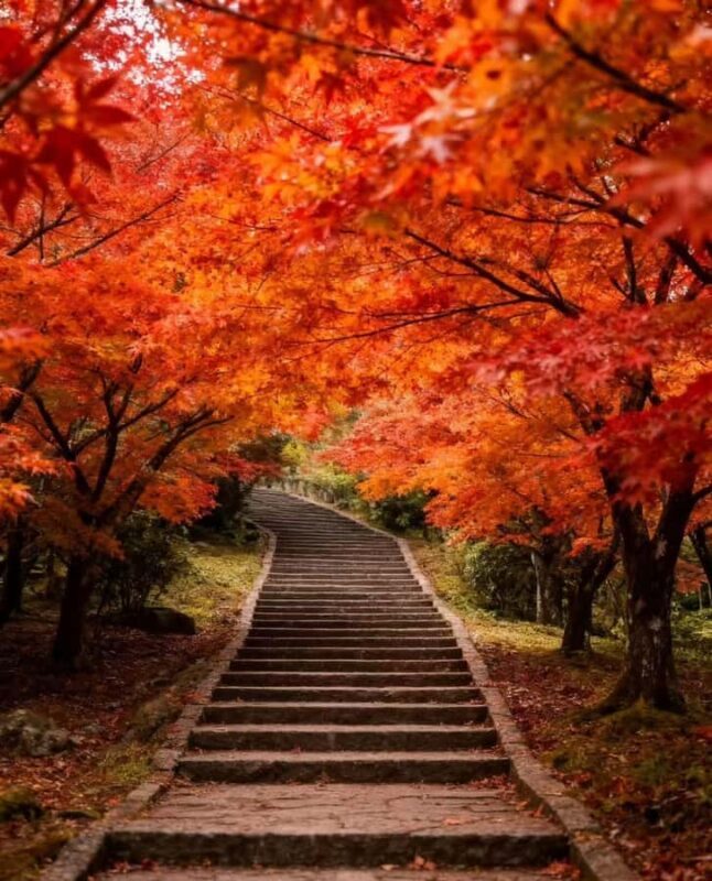 From Taipei or Taichung: 2-Day Alishan & Sun Moon Lake Tour - Potential Drawbacks and Considerations