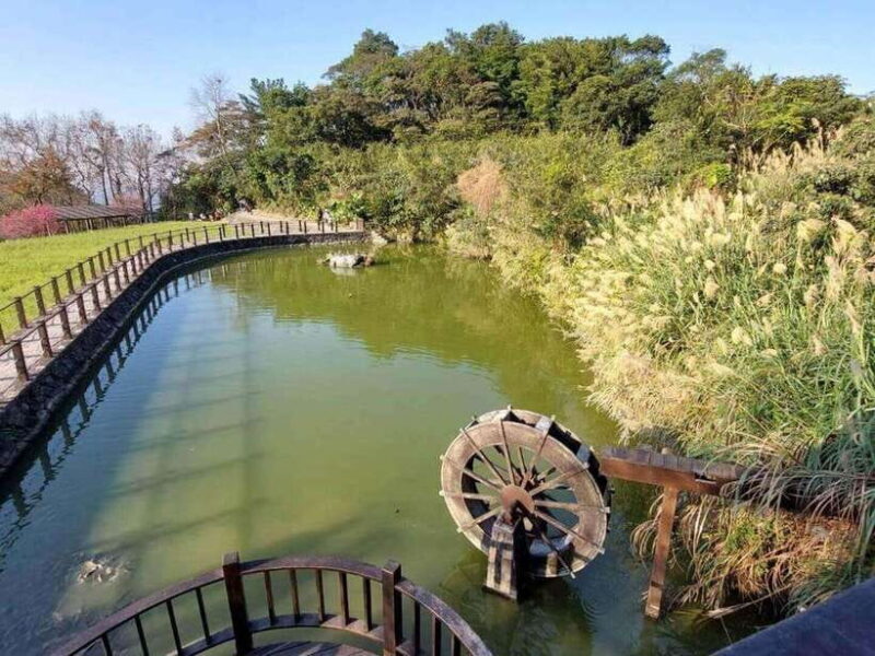 From Taipei: Pinglin Tea Culture and Maokong Guided Day Tour - The Value of the Tour