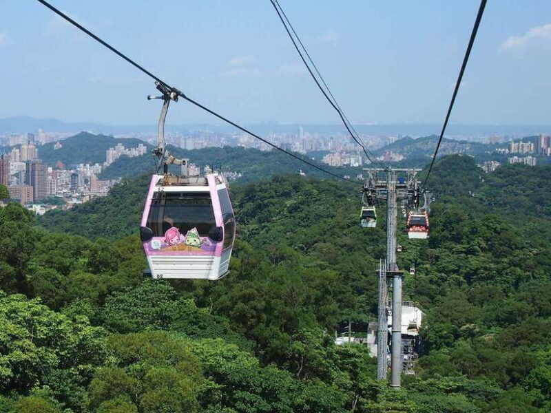 From Taipei: Pinglin Tea Culture and Maokong Guided Day Tour - Final Thoughts