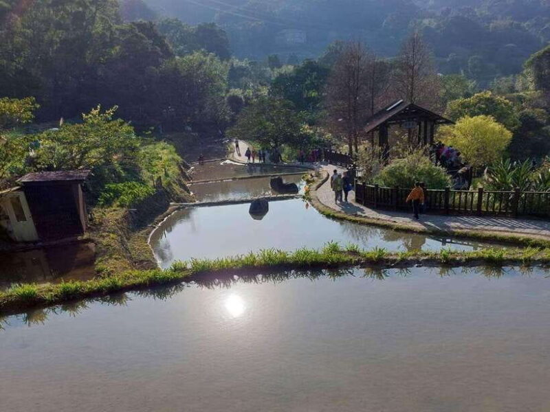 From Taipei: Pinglin Tea Culture and Maokong Guided Day Tour - Additional Tips