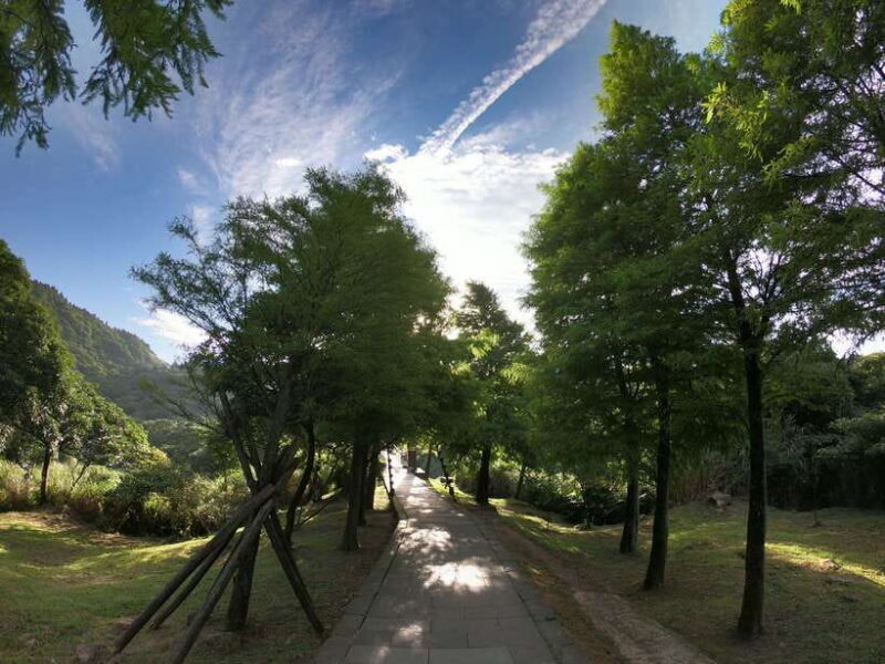 From Taipei: Private Yangmingshan Volcano and Nature Tour - The Practicalities