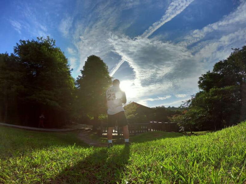 From Taipei: Private Yangmingshan Volcano and Nature Tour - Authentic Feedback from Travelers
