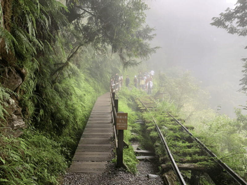 From Taipei: Taipingshan National Forest Private Day Tour - An Introduction to the Taipingshan Experience