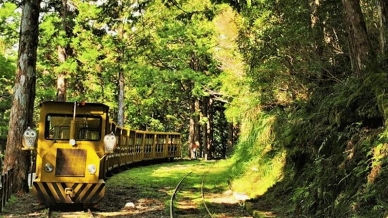 From Taipei: Taipingshan National Forest Private Day Tour - The Experience in Practice