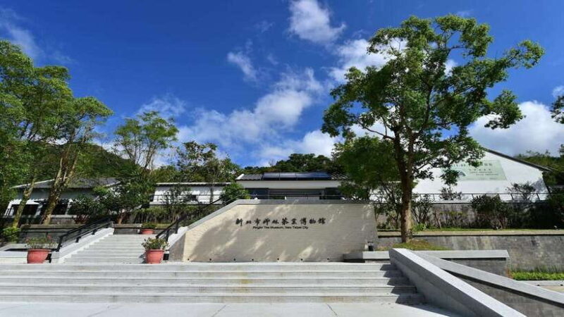 From Taipei: Thousand-Island Lake & Tea Museum Private Tour - Bagua Tea Plantation: Lush Fields and Fresh Aromas