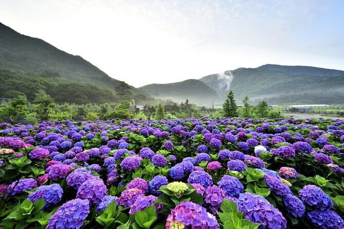 From Taipei: Yangmingshan, Yehliu, Jiufen & Shifen Private Tour - Who Would Enjoy This Experience?