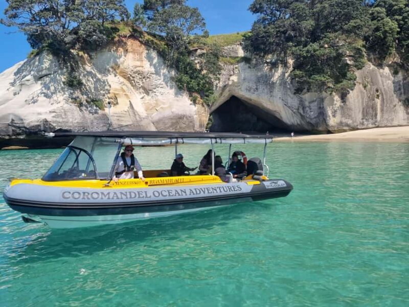 From Tairua: 2 Hour Cathedral Cove Tour with Local Guide - Key Points