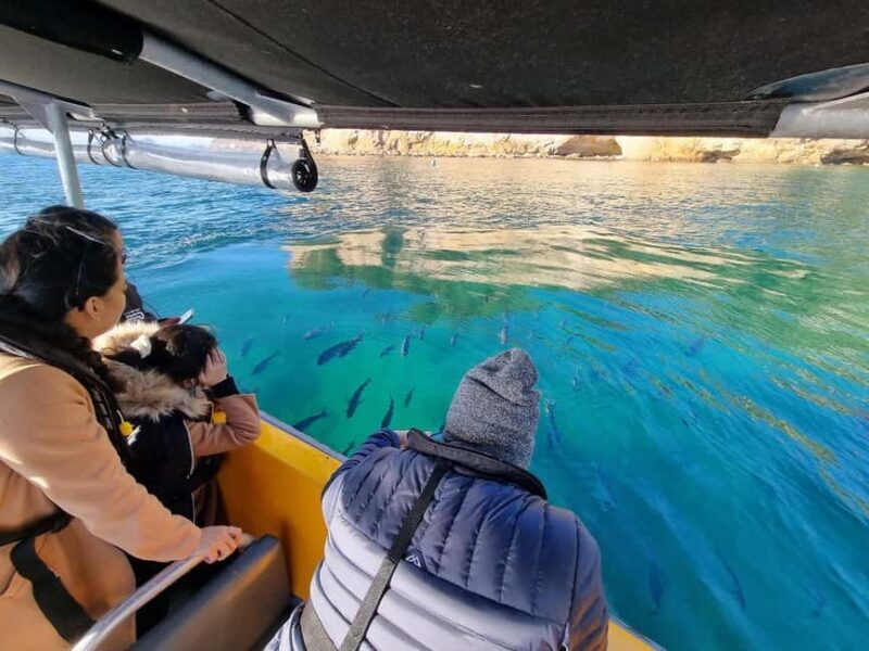 From Tairua: 2 Hour Cathedral Cove Tour with Local Guide - Authentic Experiences and Authenticity