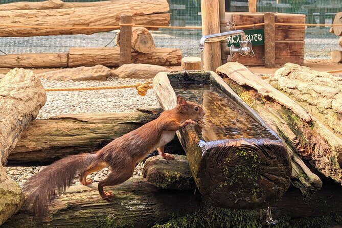 From Takayama: Cultural Heritage & Kamikochi's Alpine Beauty - A Deep Dive into the Experience