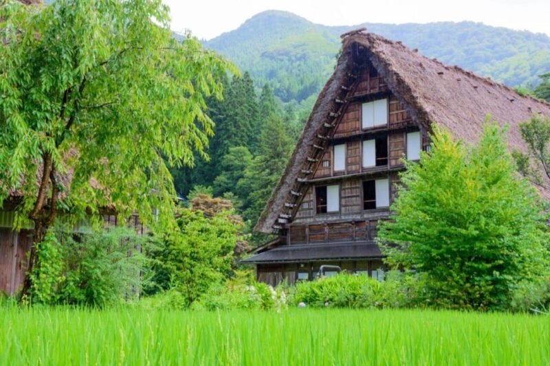 From Takayama: Guided Day Trip to Takayama and Shirakawa-go - Possible Drawbacks and Considerations