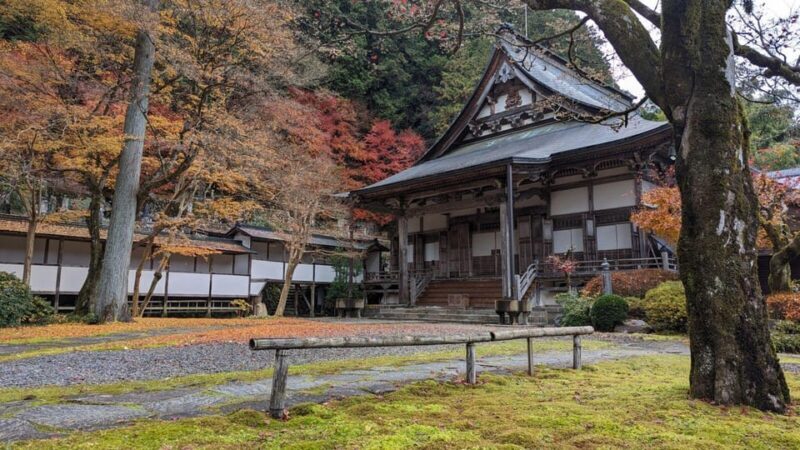 From Takayama: Gujo Hachiman -History, Traditions and Crafts - Who Will Love This Tour?