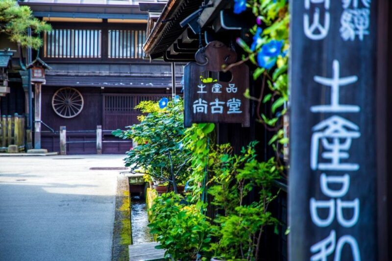 From Takayama: Immerse in Takayama's Rich History and Temple - Who Should Consider This Tour?