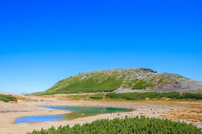 From Takayama Mt. Norikura Alpine Flowers and Panoramic Peaks - What Travelers Are Saying