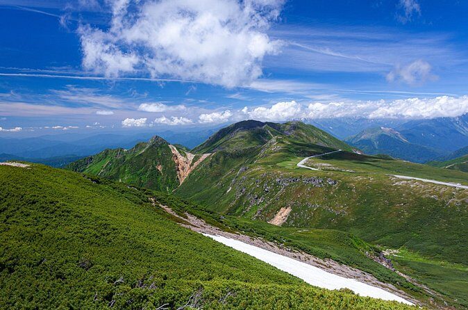 From Takayama Mt. Norikura Alpine Flowers and Panoramic Peaks - Why This Tour Is Worth Considering