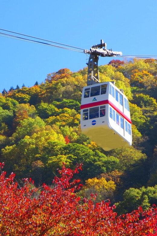 From Takayama: Shinhotaka Ropeway and Kamikochi tour - Why the Reviews Shine