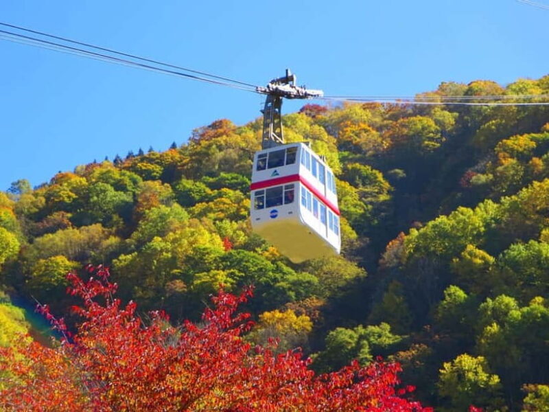 From Takayama: Shinhotaka Ropeway & Kamikochi Private Tour - Key Points
