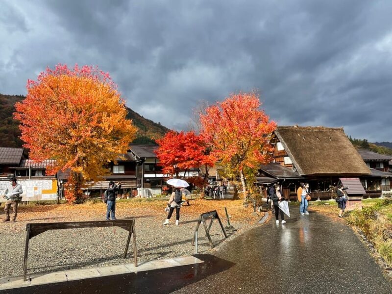 From Takayama: Shirakawago UNESCO World Heritage Site Tour - Key Points