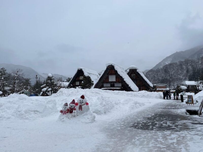 From Takayama: Shirakawago UNESCO World Heritage Site Tour - Who Would Love This Tour?