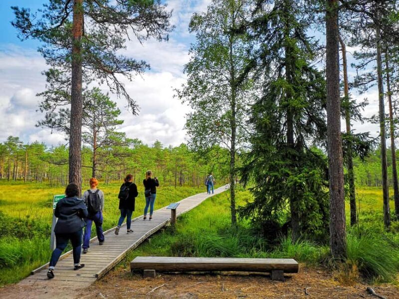 From Tallinn: Bog walk and Sauna Tour - Key Points