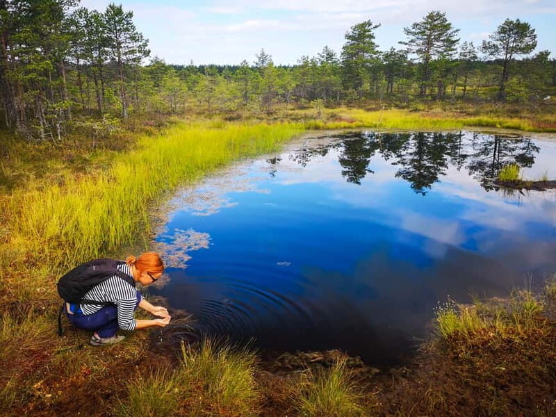 From Tallinn: Day Trip to Lahemaa National Park - An In-Depth Look at the Lahemaa Day Trip from Tallinn