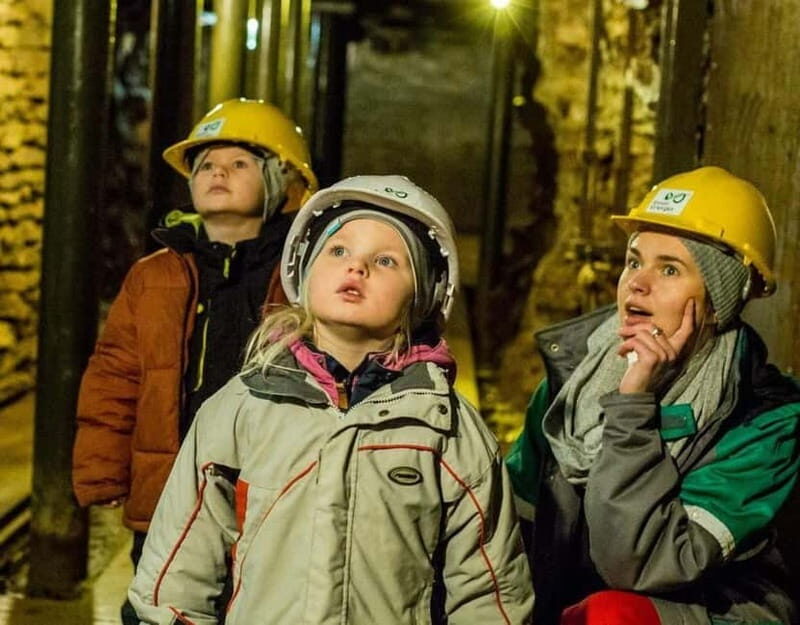 From Tallinn: Ida-Virumaa Mining Museum and Sillamäe Tour - Who Will Love This Tour?