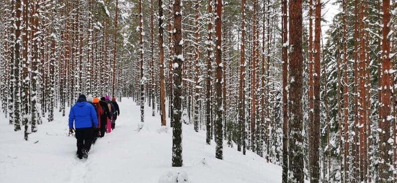 From Tallinn: Lahemaa National Park 3 Waterfall Hike - Practical Tips for Your Hike