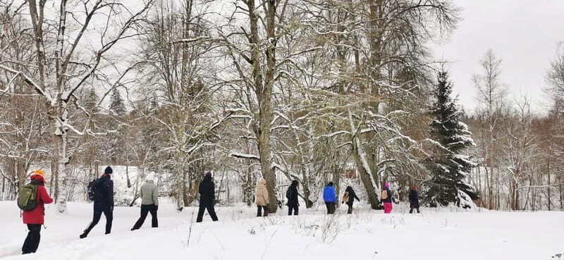 From Tallinn: Lahemaa National Park 3 Waterfall Hike - Who Will Love This Tour?