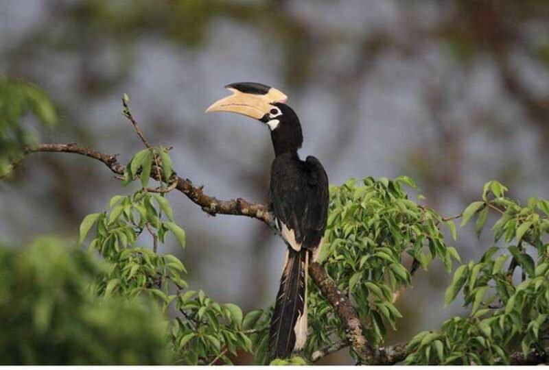 From Tangalle: All Inclusive Safari at Lunugamvehera Park - Final Thoughts