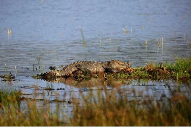 From Tangalle: All Inclusive Safari at Lunugamvehera Park - FAQs