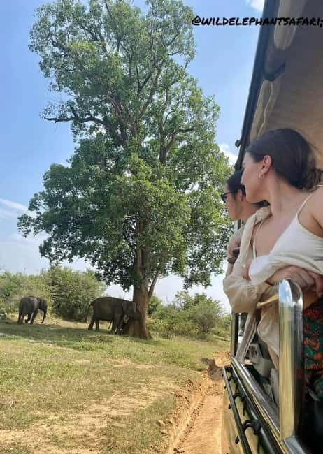 From Tangalle/ Hiriketiya: Yala Safari with Drop: Ella - FAQs