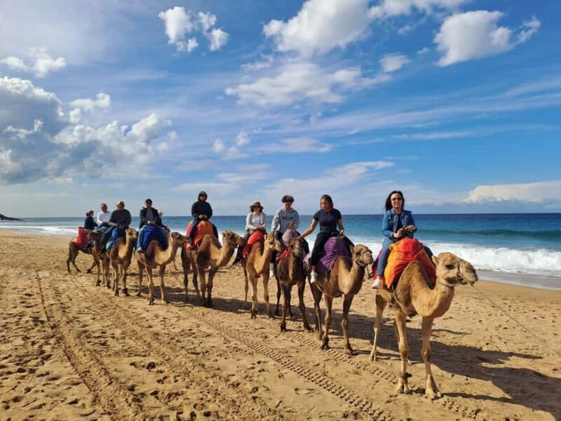 From Tangier: Cap Spartel and Hercules Cave with Camel Ride - Key Points