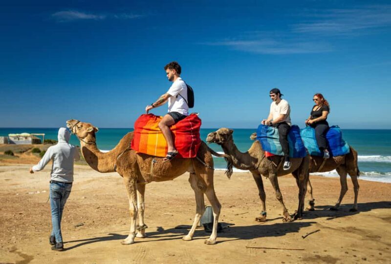 From Tangier: Cap Spartel and Hercules Cave with Camel Ride - Who Will Love This Tour?