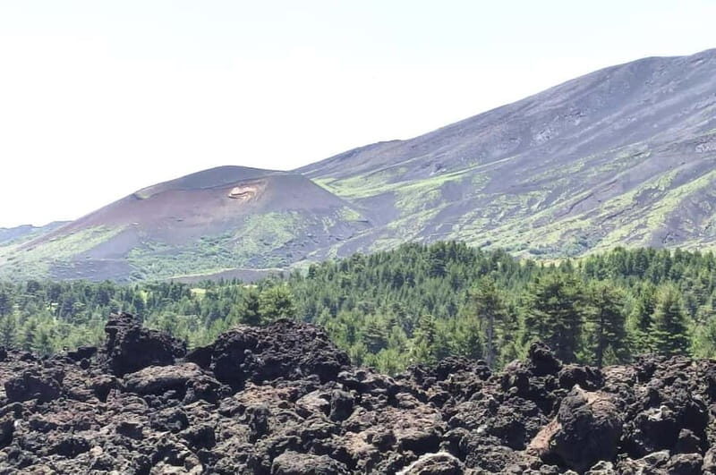 From Taormina: Etna Walking Tour and Wine Tasting in Winery - Detailed Breakdown of the Experience