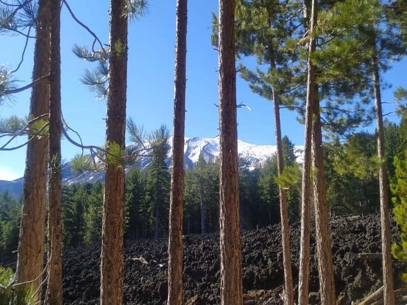 From Taormina: Etna Walking Tour and Wine Tasting in Winery - Conclusions: Is This Tour for You?