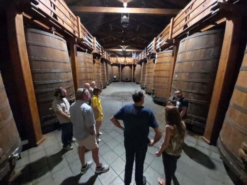 From Taormina: Etna Wineries Small Group Tour - Key Points
