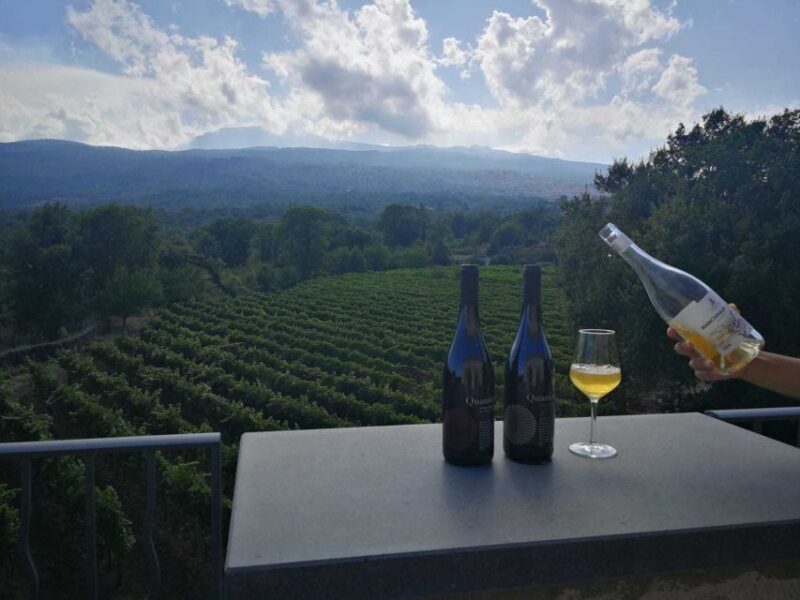 From Taormina: Etna Wineries Small Group Tour - Practical Tips for Future Travelers