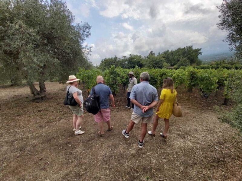 From Taormina: Etna Wineries Small Group Tour - Who Will Love This Tour?
