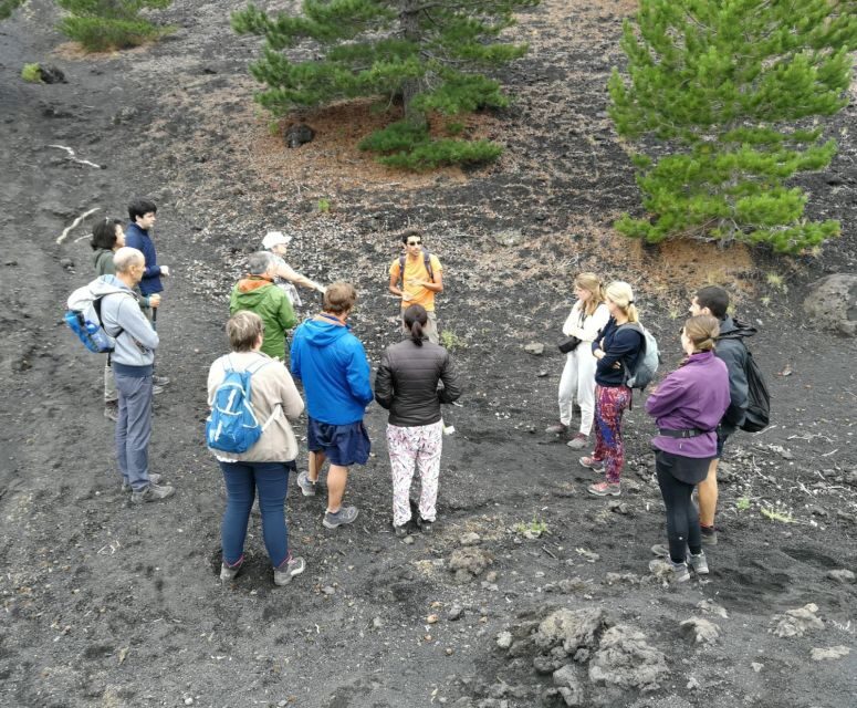 From Taormina: Full-Day Etna, Wine & Alcantara Canyons Tour - Key Points