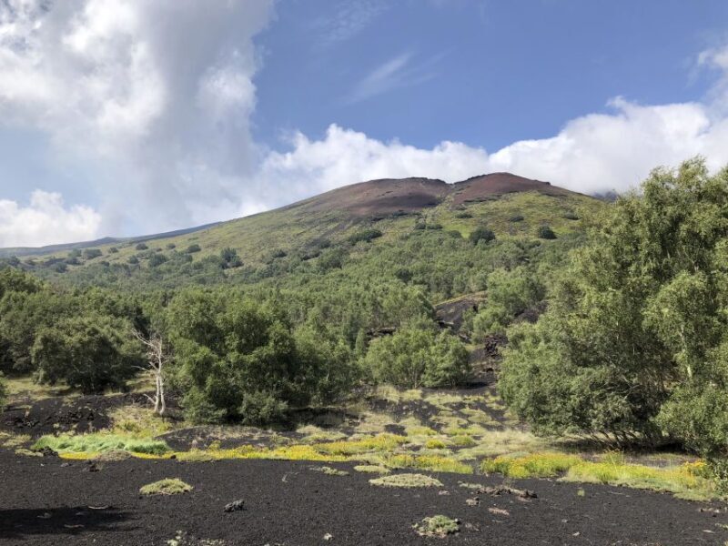 From Taormina: Full-Day Etna, Wine & Alcantara Canyons Tour - FAQs