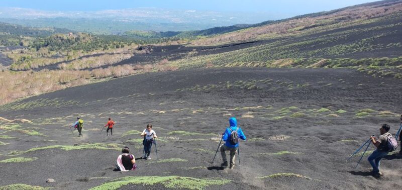 From Taormina: Guided Trip to Mt. Etna and Alcantara Gorges - The Sum Up: Who Will Love This Tour?