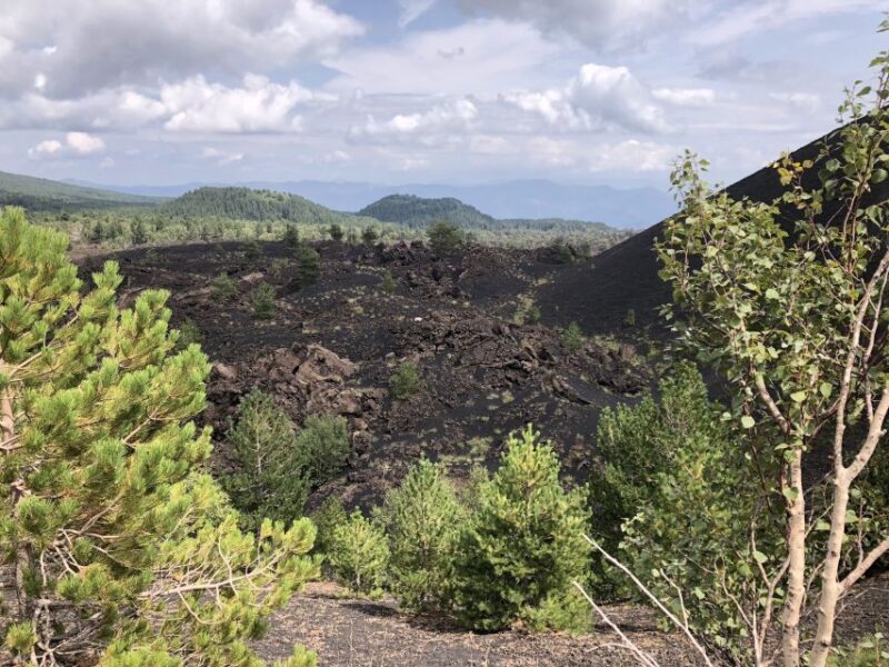 From Taormina: Half-Day Mount Etna Morning Trek - Frequently Asked Questions (FAQ)