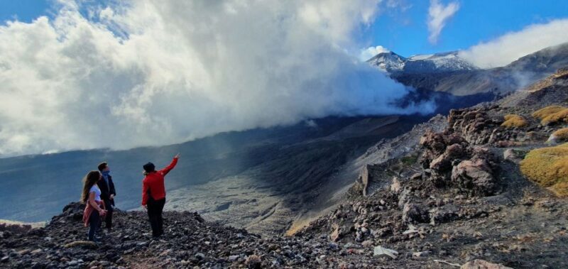From Taormina or Catania: Private Full-Day Mount Etna Hike - Final Thoughts: Who Is This Tour Best For?