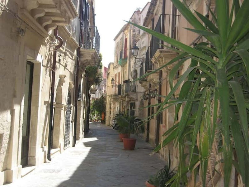 From Taormina: Syracuse Tour with lunch in Food Market - Who Will Love This Tour?