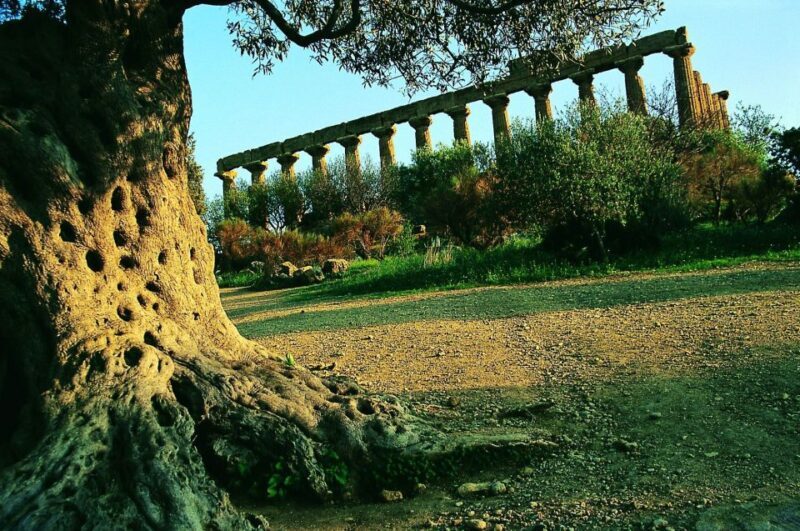 From Taormina: Valley of The Temples & Piazza Armerina Tour - FAQ